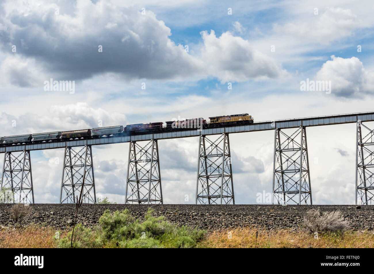Crossing Trains Trestles