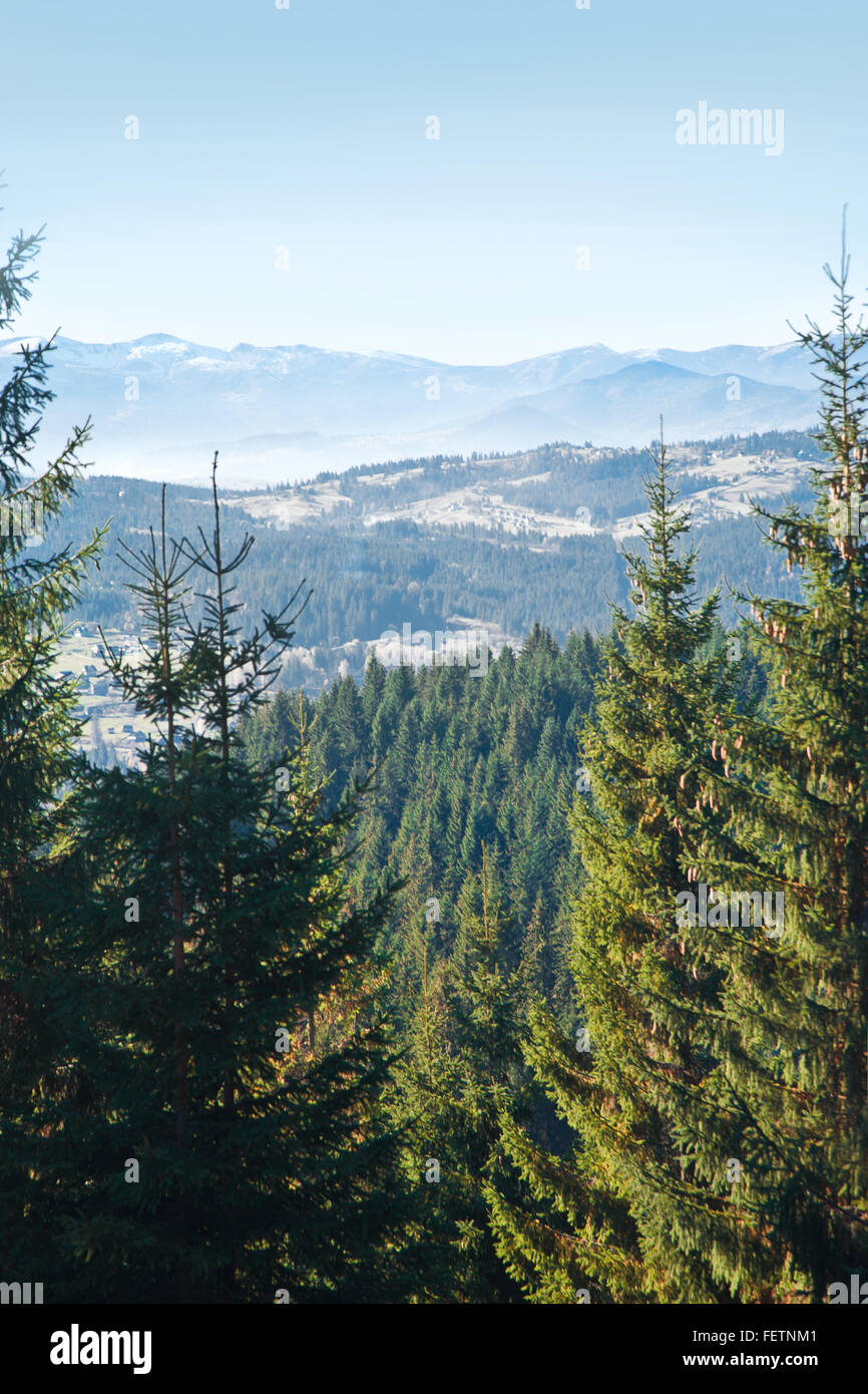 Tree line tundra hi-res stock photography and images - Alamy