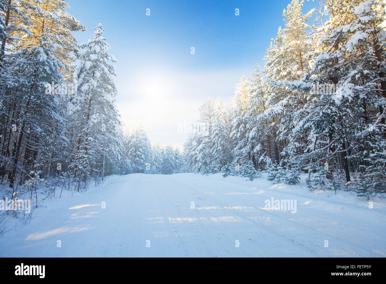 Winter park in snow Stock Photo - Alamy