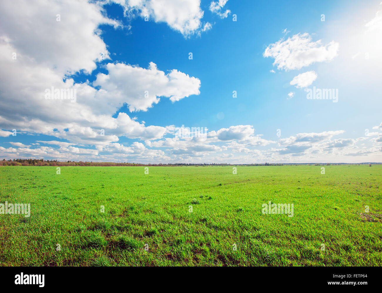 green field and blue cloudy sky Stock Photo - Alamy