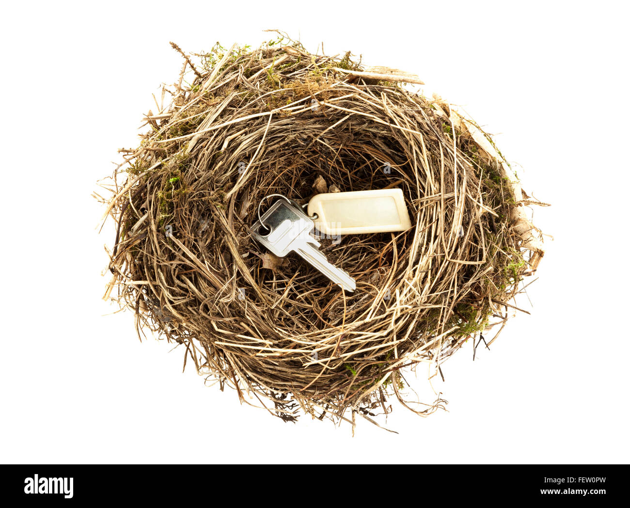 security lock key with blank tag in bird nest isolated on white ...