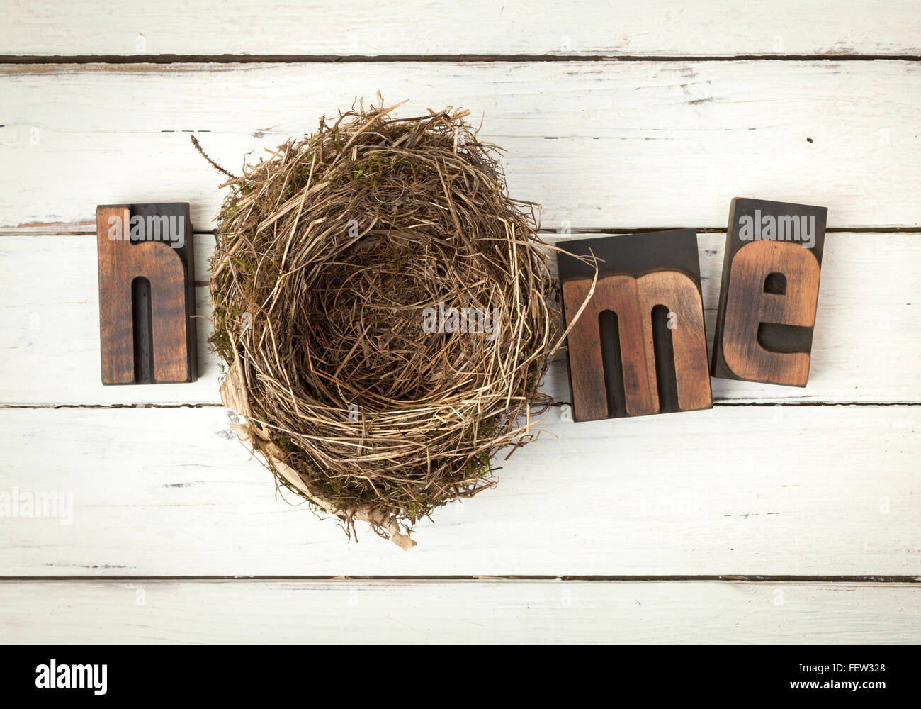 Home of bird hi-res stock photography and images - Alamy