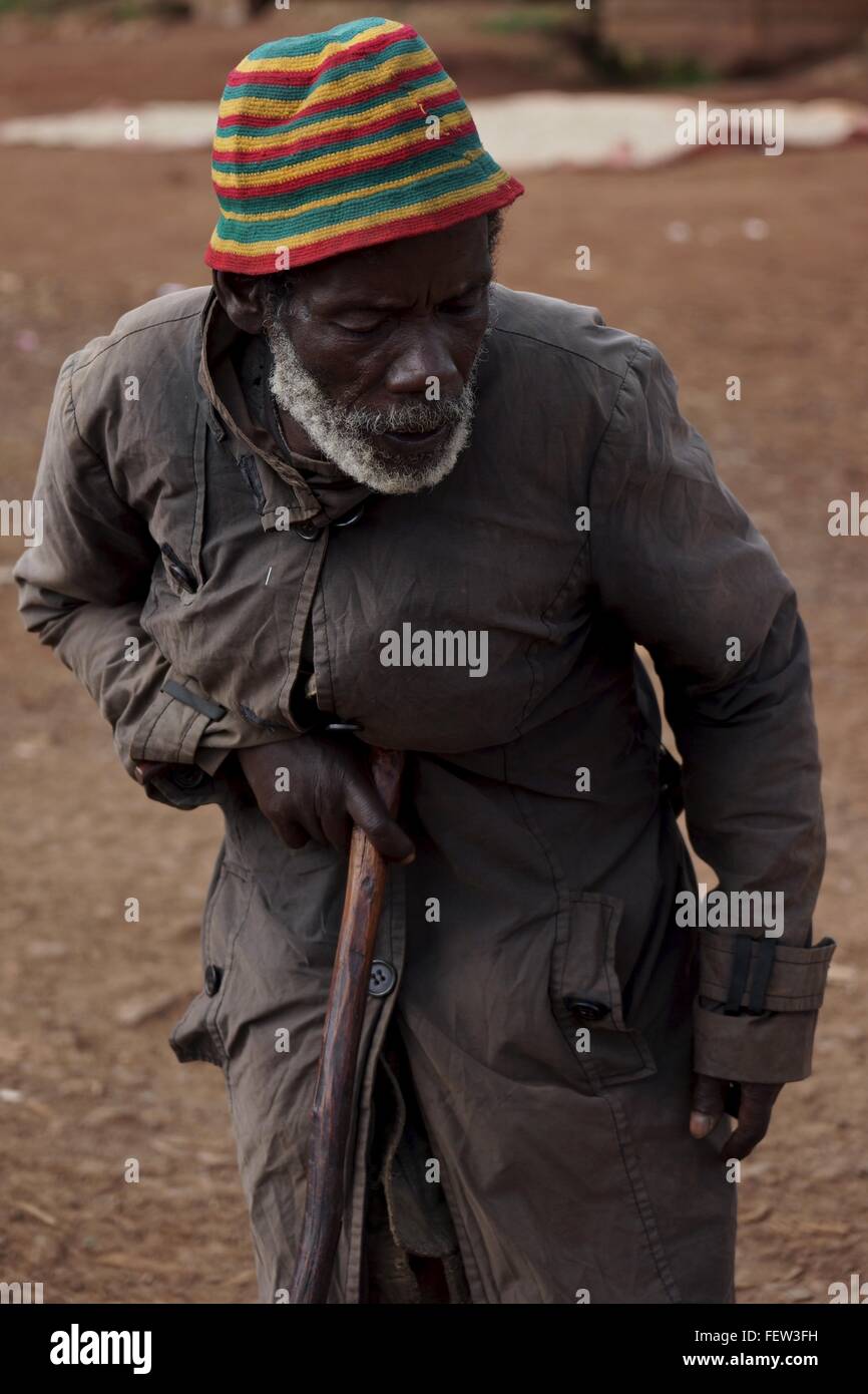 African walking stick hi-res stock photography and images - Alamy
