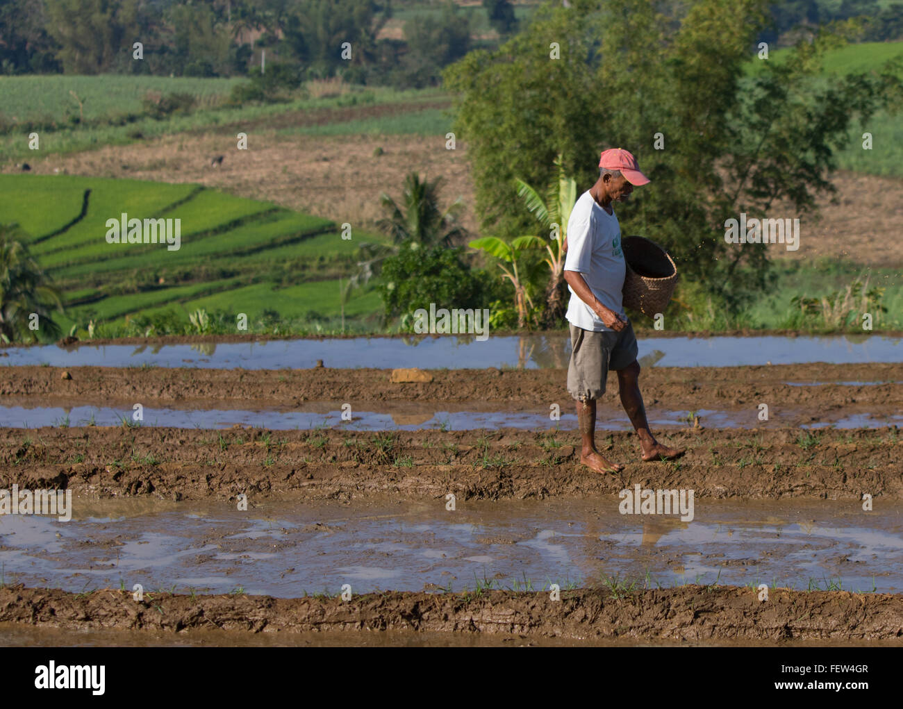 Filipino agriculture hi-res stock photography and images - Alamy