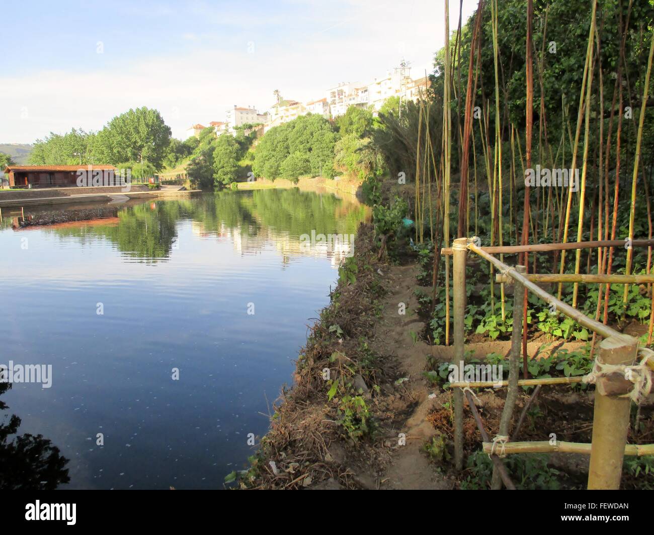 Field pond hi-res stock photography and images - Alamy