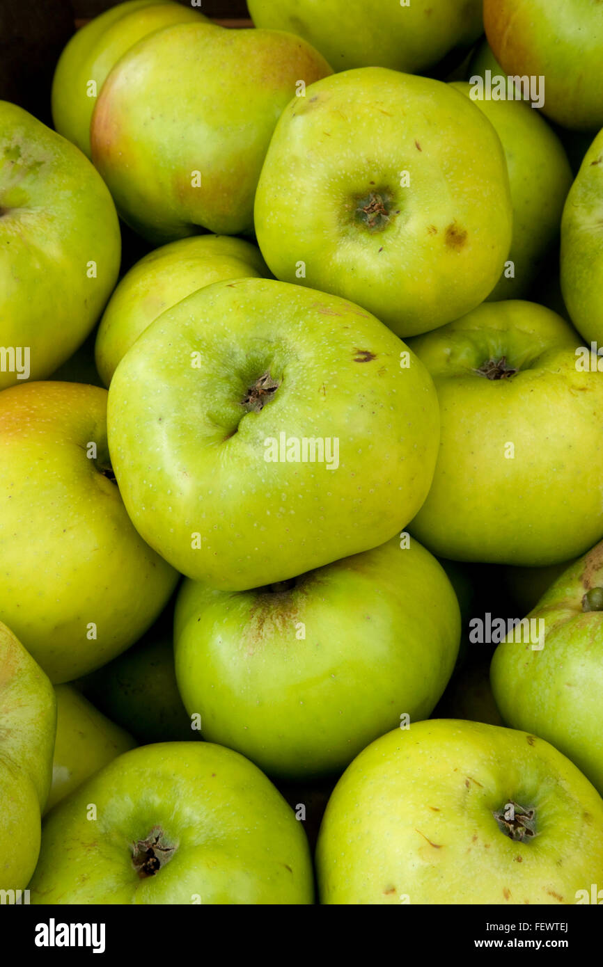 Pie bramley hi-res stock photography and images - Alamy