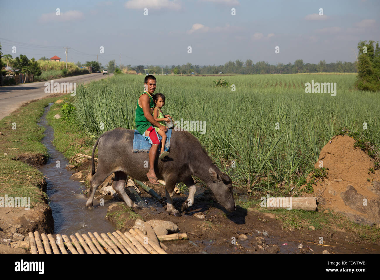 The workhorse of the philippines hi-res stock photography and images ...
