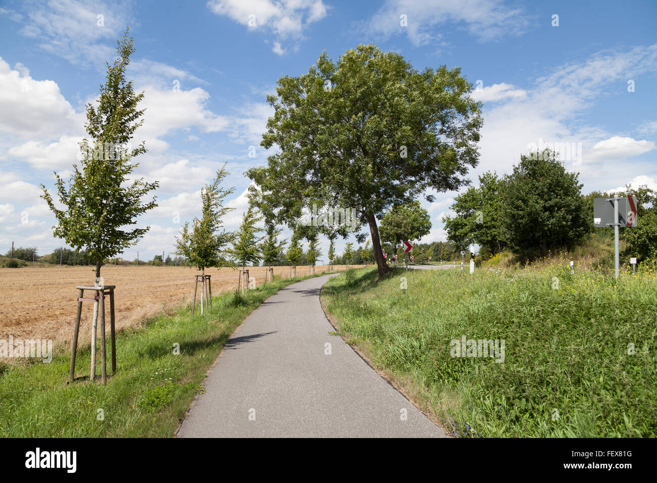 curve of a bicycle lane Stock Photo - Alamy