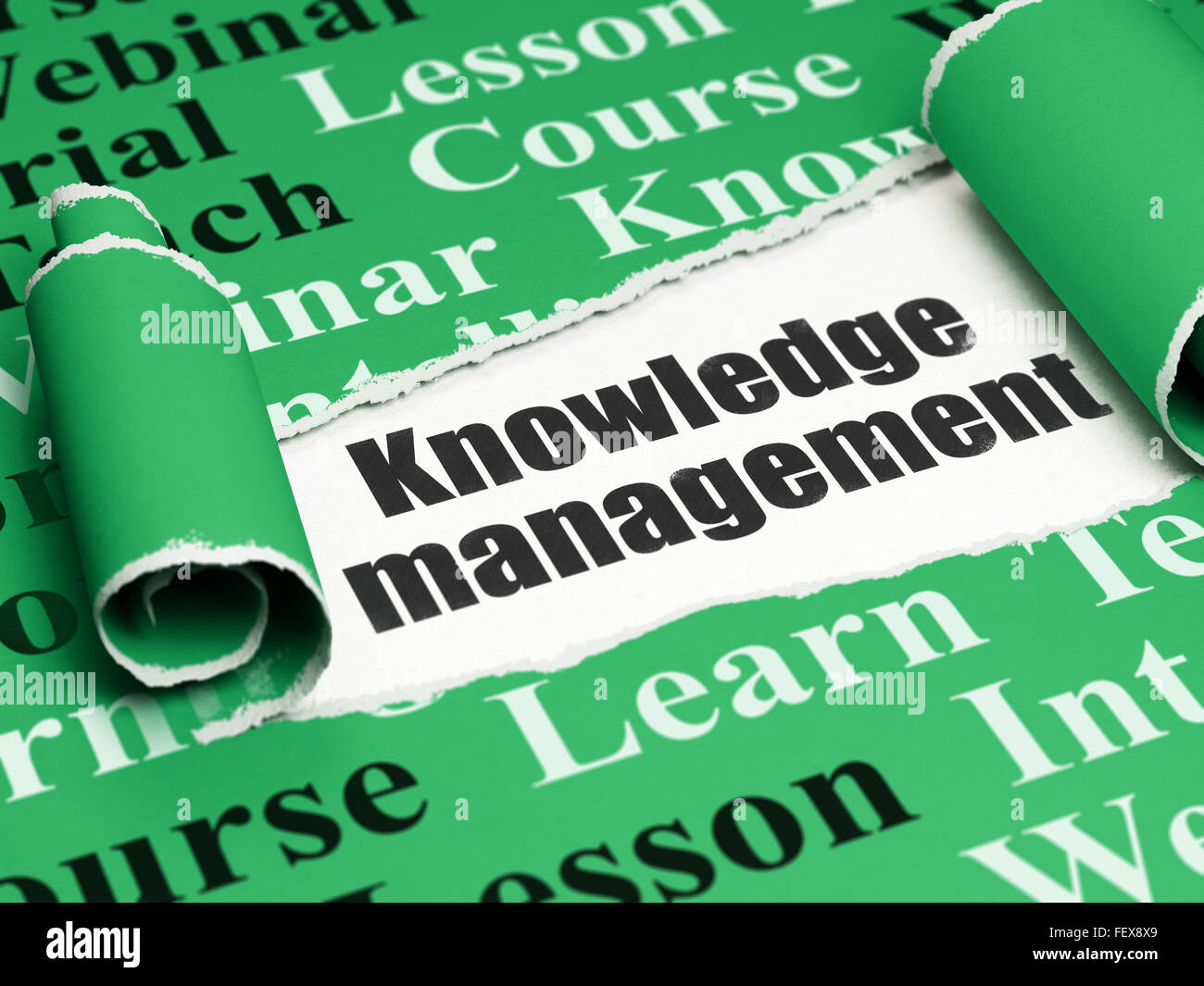 Education concept: black text Knowledge Management under the piece of ...