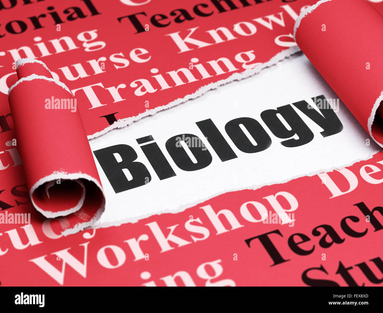 Learning concept: black text Biology under the piece of torn paper ...