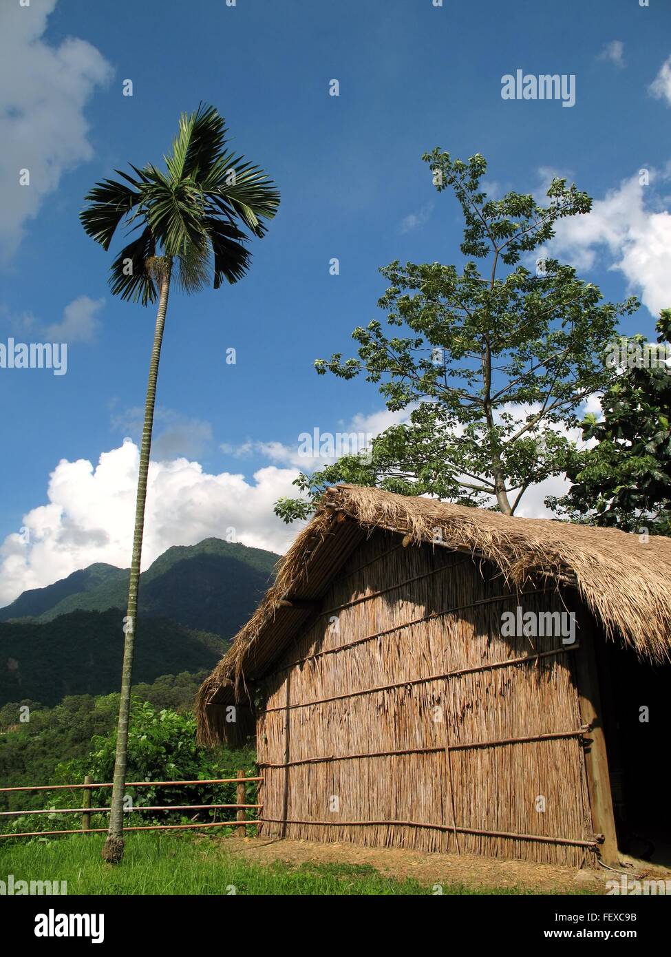 Aboriginal hut hi-res stock photography and images - Alamy