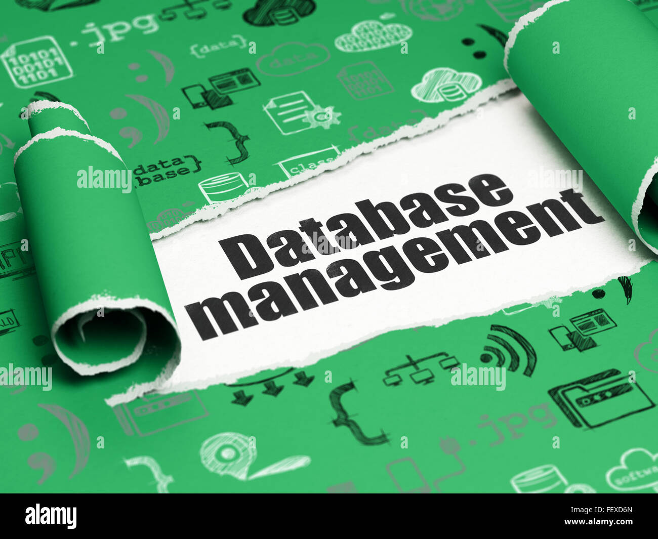 Software concept: black text Database Management under the piece of torn paper Stock Photo - Alamy