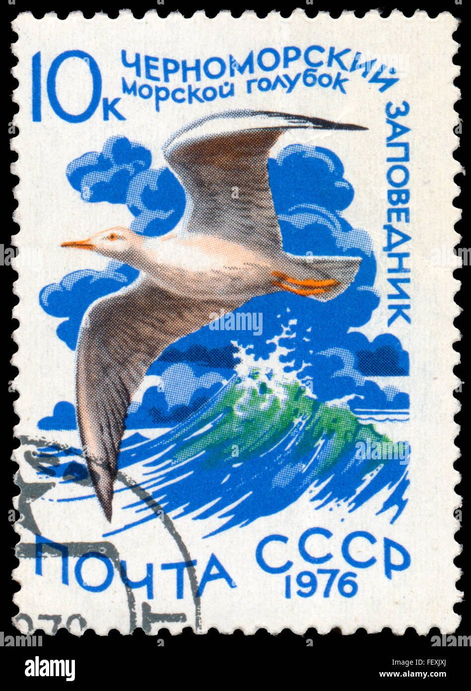 RUSSIA - CIRCA 1976: a stamp printed in Russia shows bird Slender ...
