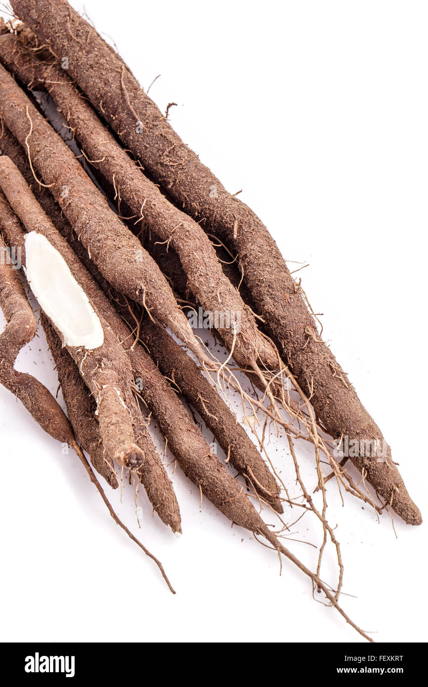 Fresh bunch of Black salsify, one cut and with white background Stock ...