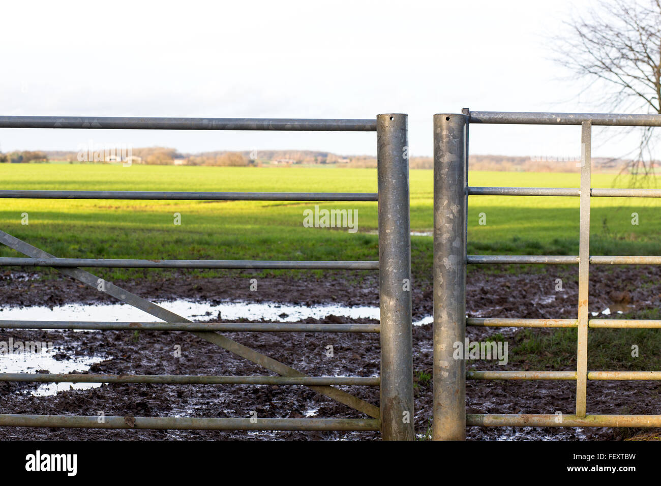 Old field gate by a roadside, rural England scene of fields and meadows ...