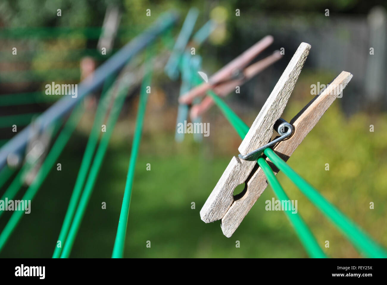 clothes pegs on a green washing line in a sunny garden Stock Photo - Alamy