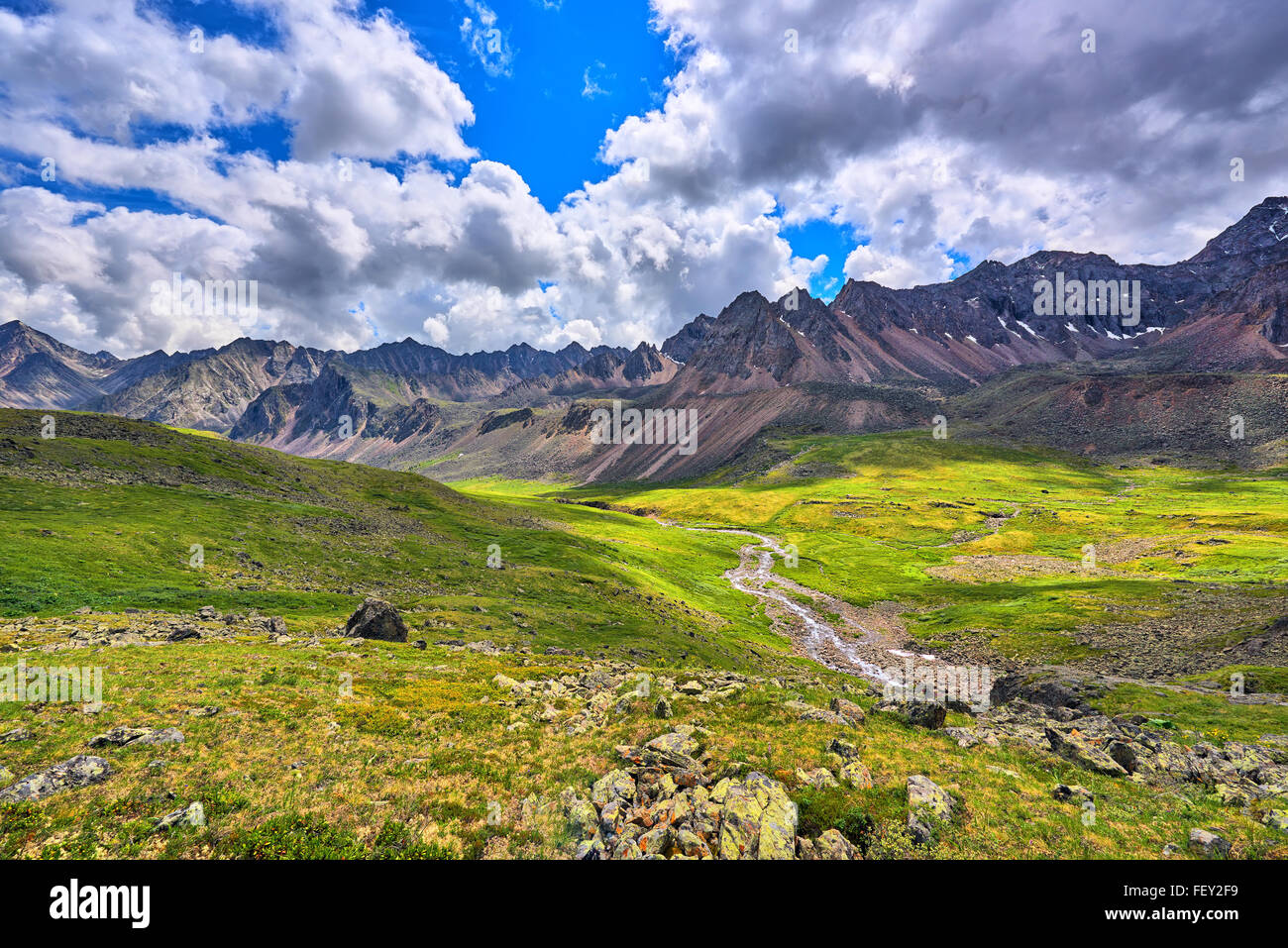 Alpine meadows in the mountain valley . Eastern Siberia. Sayan ...