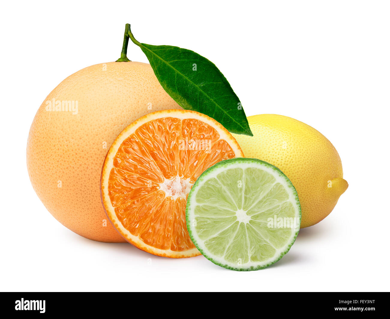 Citrus fruits: lime wheel,lemon,orange slice,grapefruit. Clipping paths ...