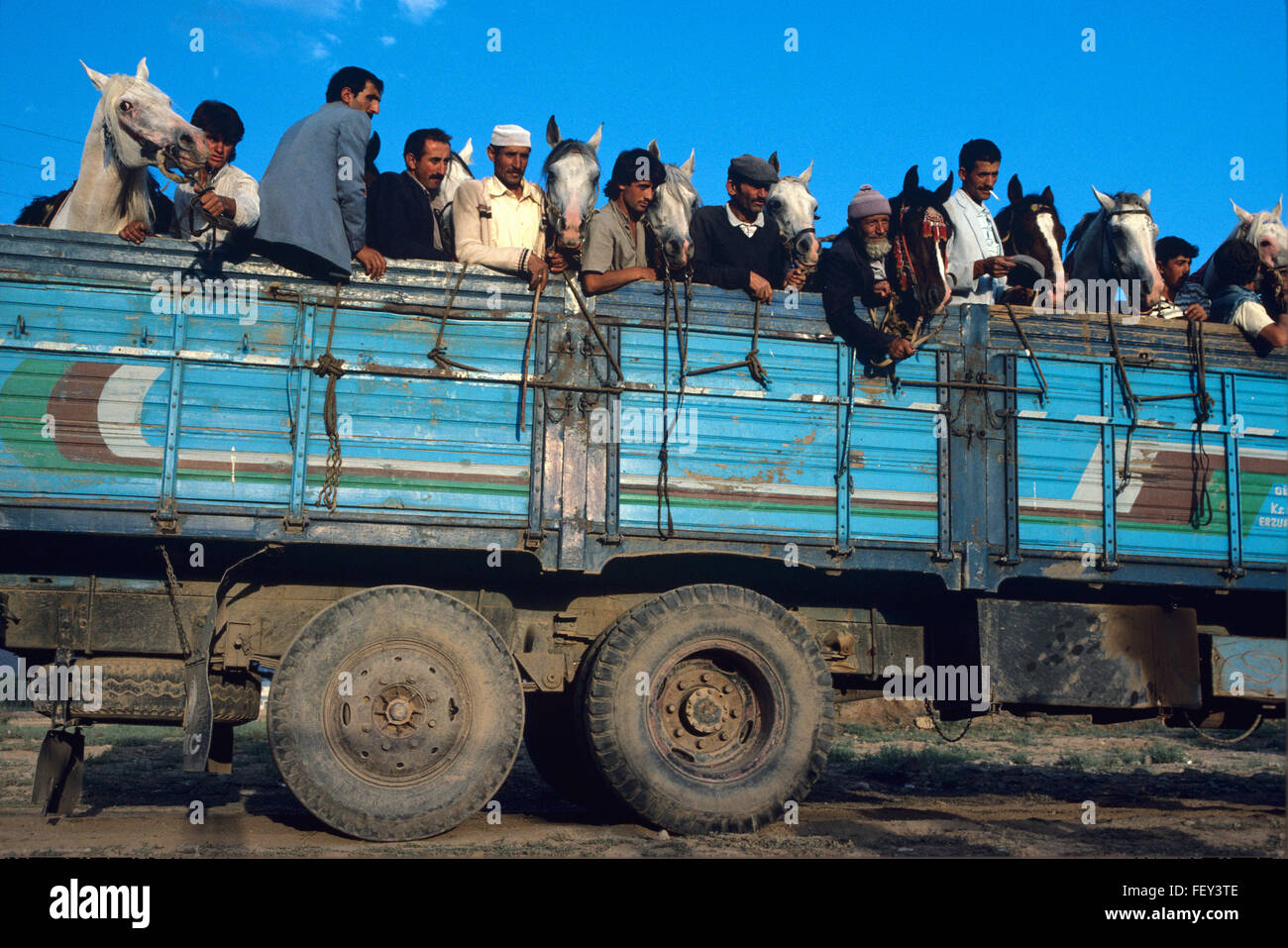 Turkish Men and Their Horses Arrive by Lorry for a Game of Jereed ...