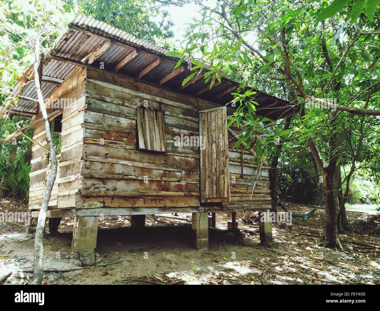The Hut In The Forest High Resolution Stock Photography and Images - Alamy