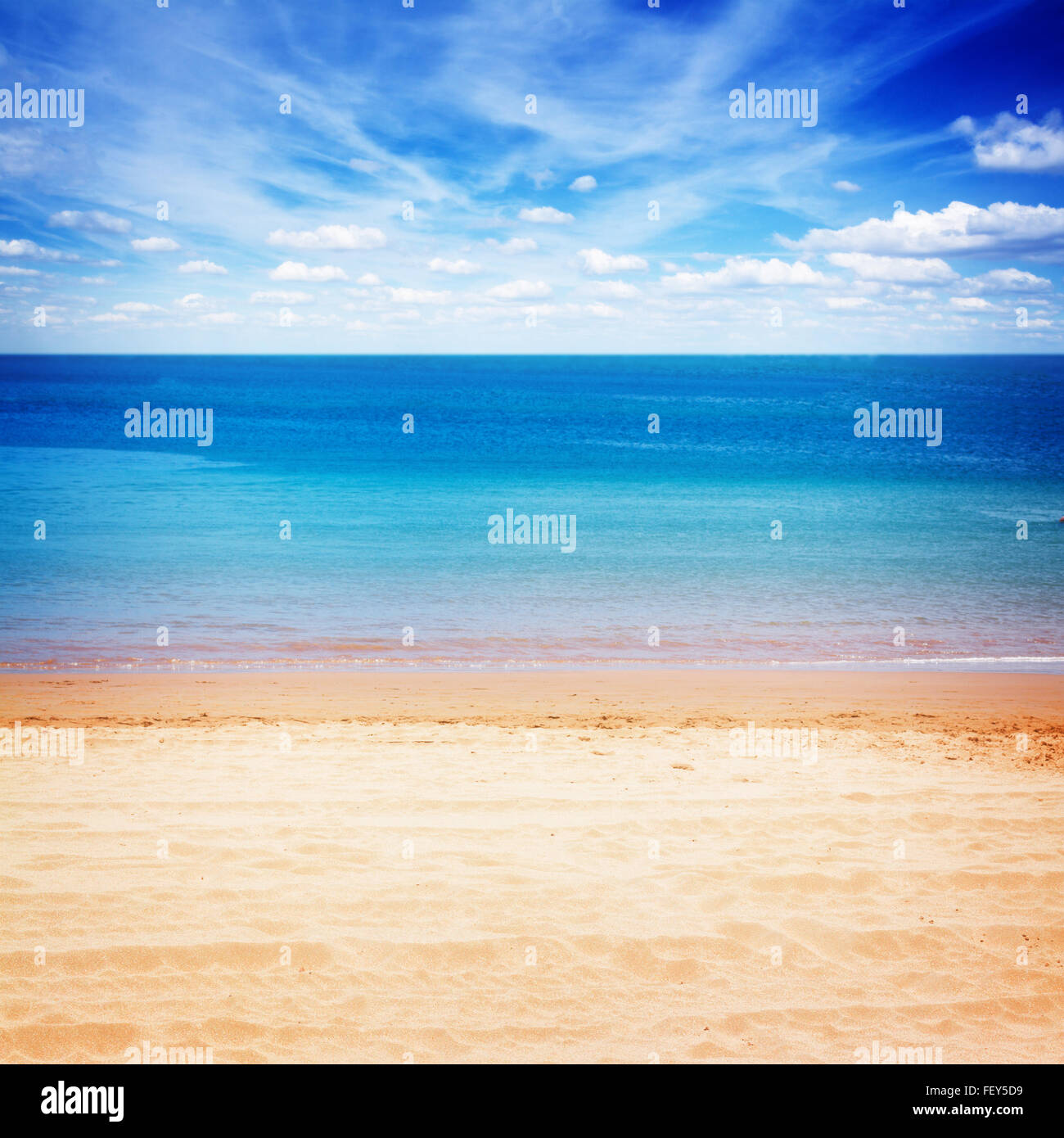sea shore with blue sky Stock Photo - Alamy