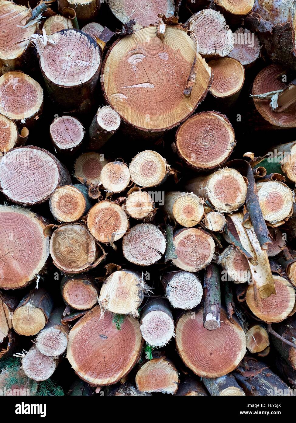 Logs Frame High Resolution Stock Photography and Images - Alamy