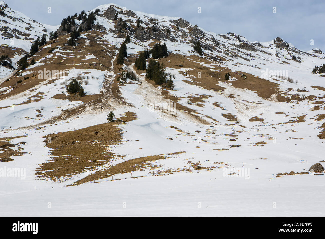 Melting snow hillside hi-res stock photography and images - Alamy