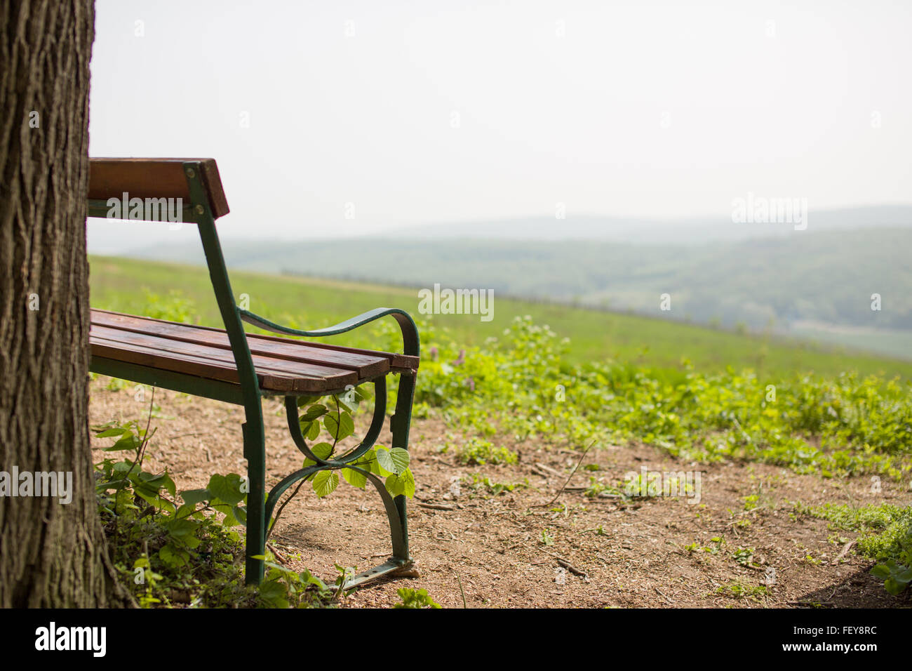 Lonely bench near tree with distant hills in the front Stock Photo - Alamy