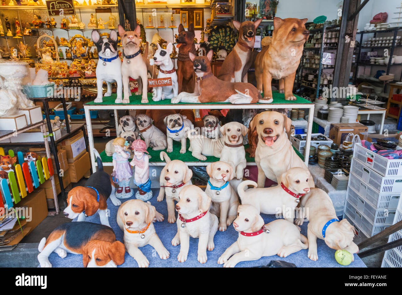 Chatuchak market animals hi-res stock photography and images - Alamy