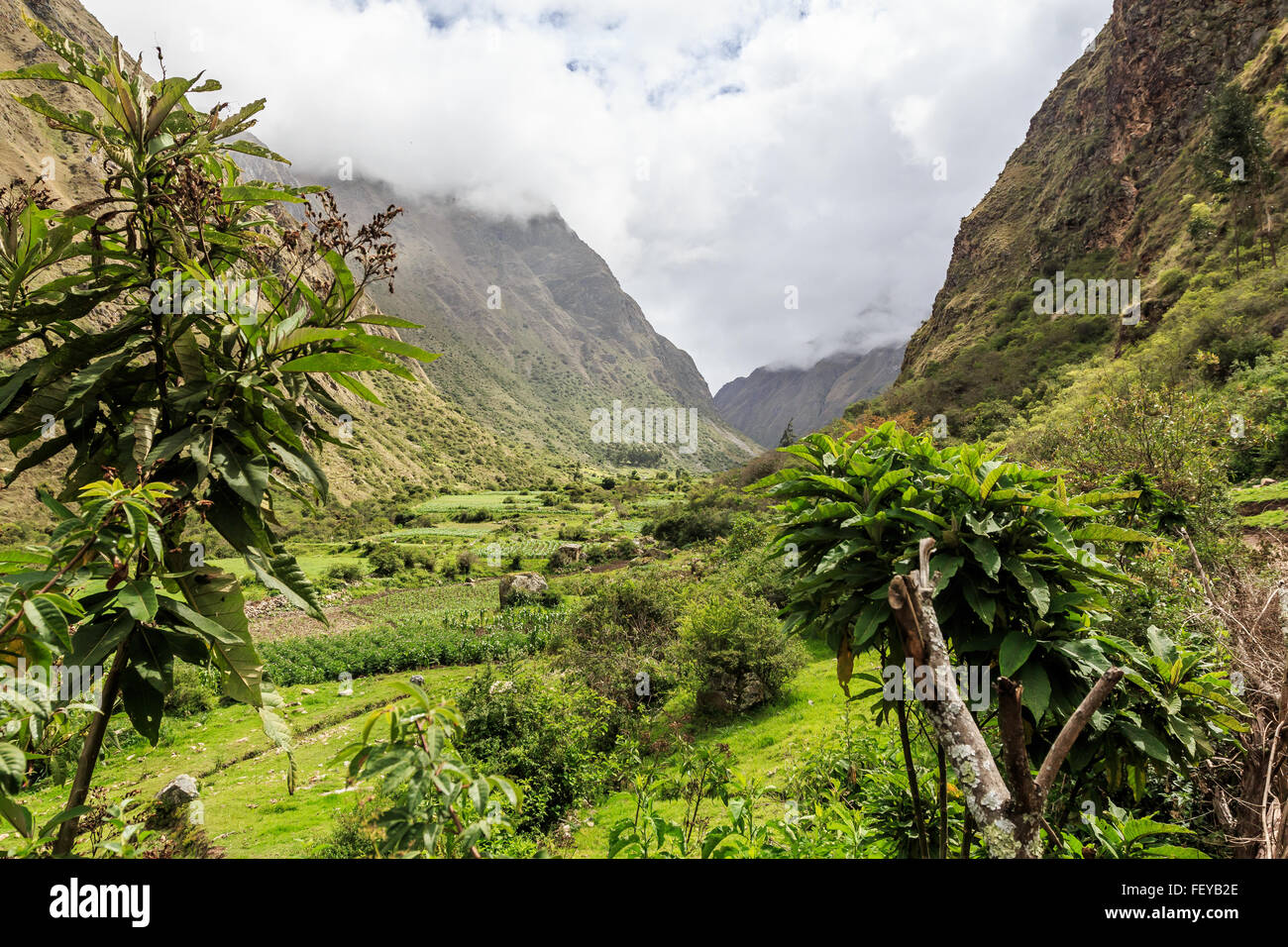 Inca Trail to Machu Picchu (also known as Camino Inca). Located in the ...