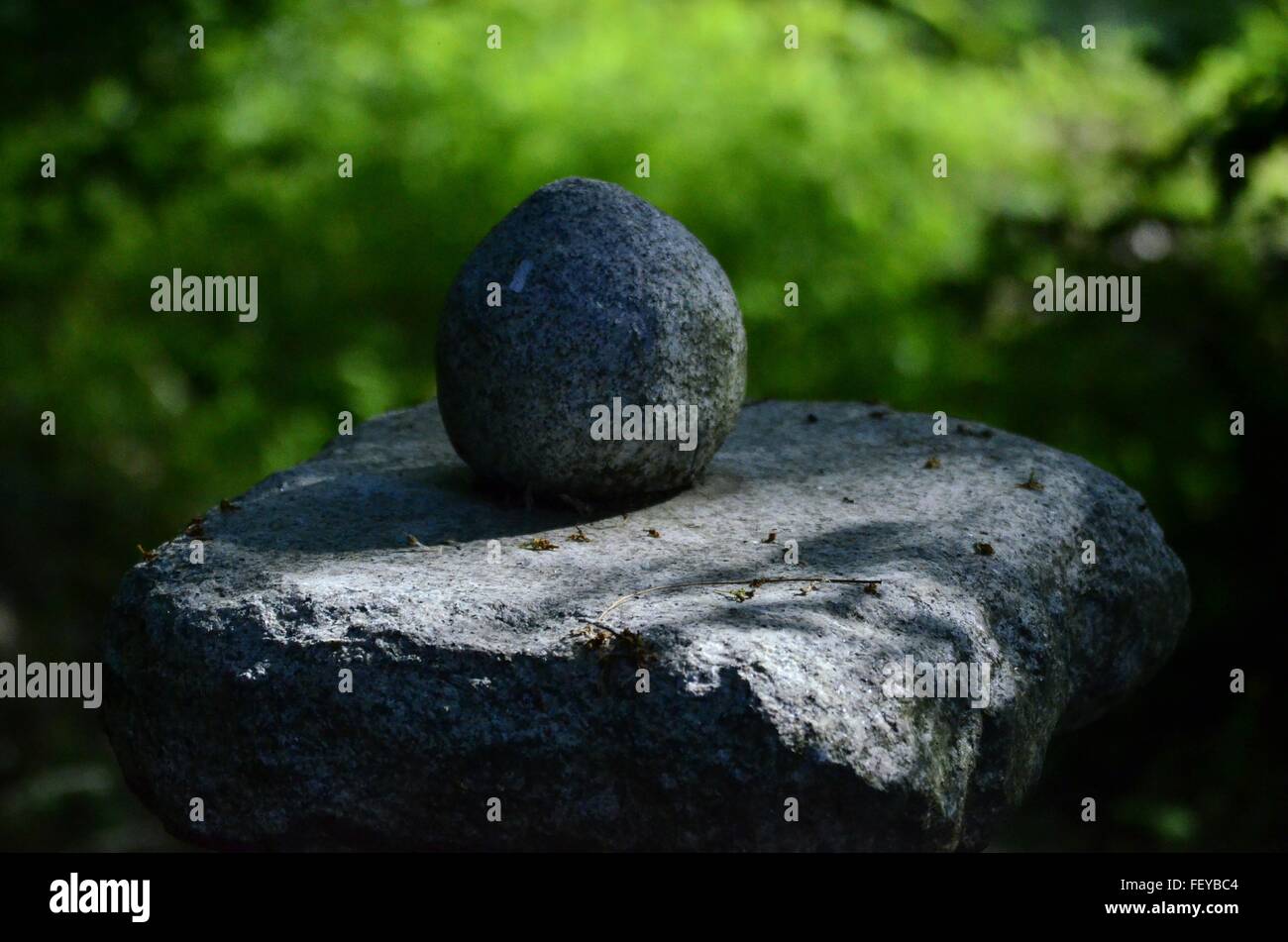 Focus on the stone hi-res stock photography and images - Alamy