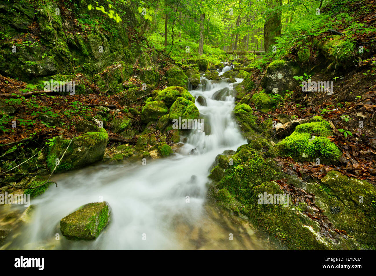 Slovensky raj hi-res stock photography and images - Alamy