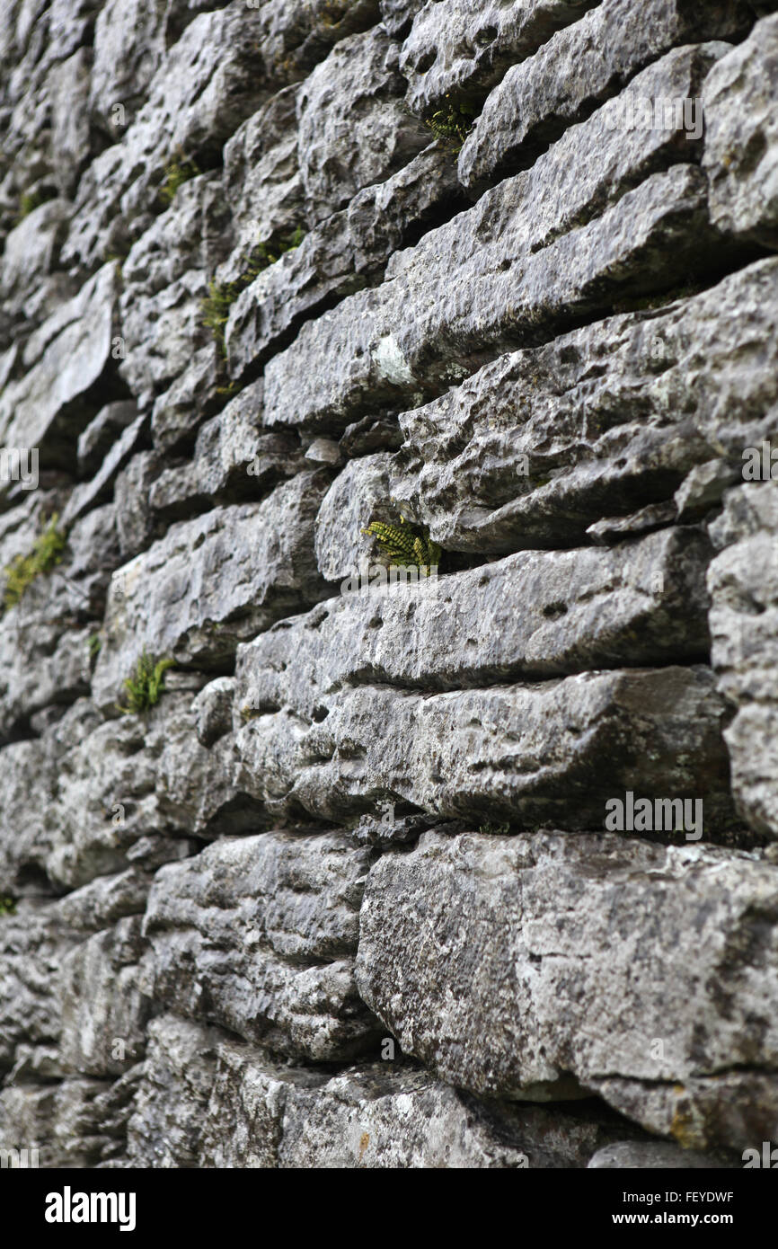 Beautiful old stone church building in ruins, Ireland Stock Photo - Alamy