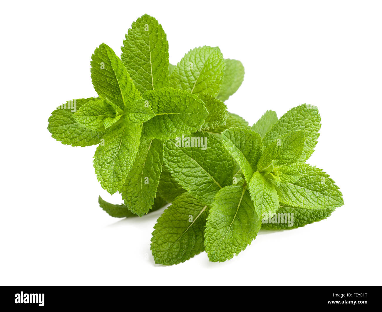 Fresh mint sprigs isolated on white background Stock Photo - Alamy