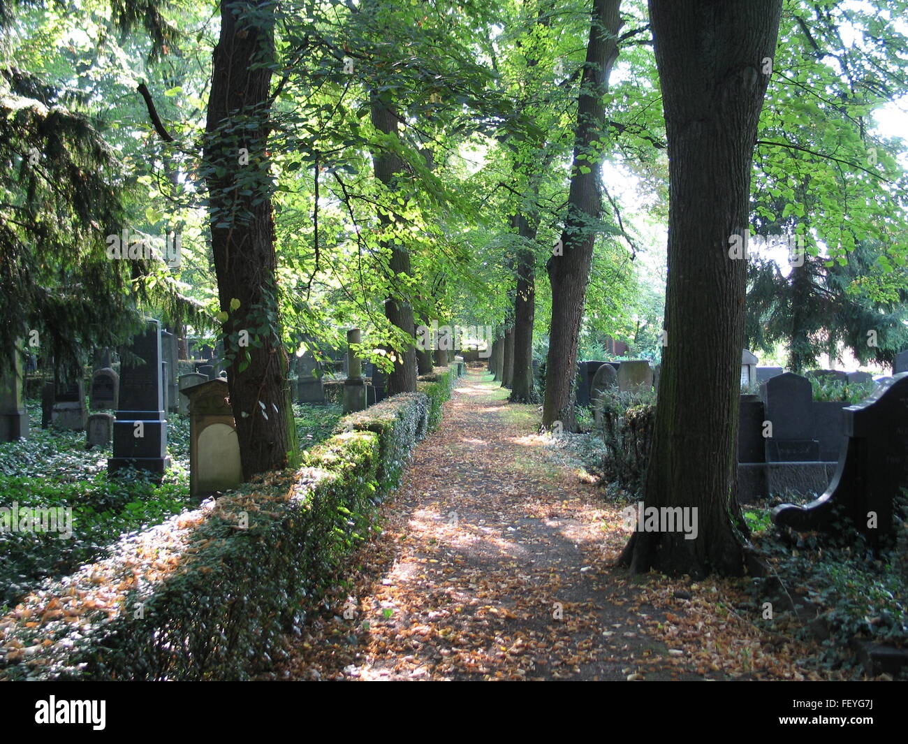 Jewish graveyard in Bonn, Römerstraße, Germany Stock Photo - Alamy