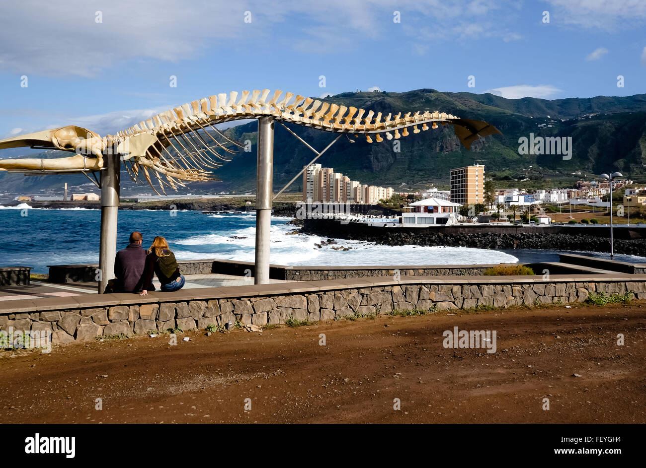 Tenerife spain coast los hi-res stock photography and images - Alamy