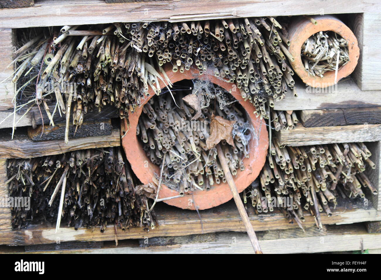 Bug hotel made from wooden crates Stock Photo - Alamy