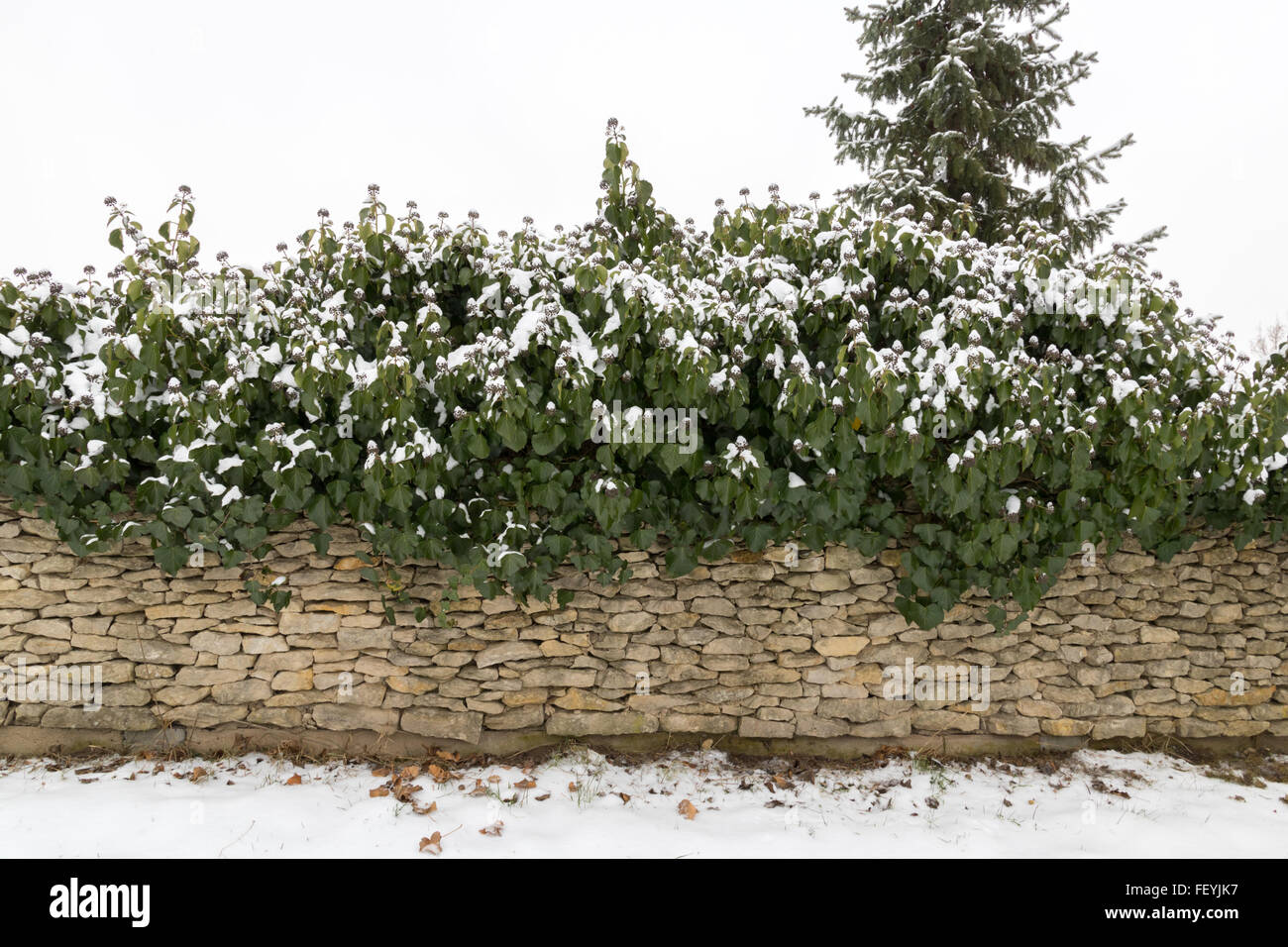 Stone wall covered in snow hi-res stock photography and images - Alamy