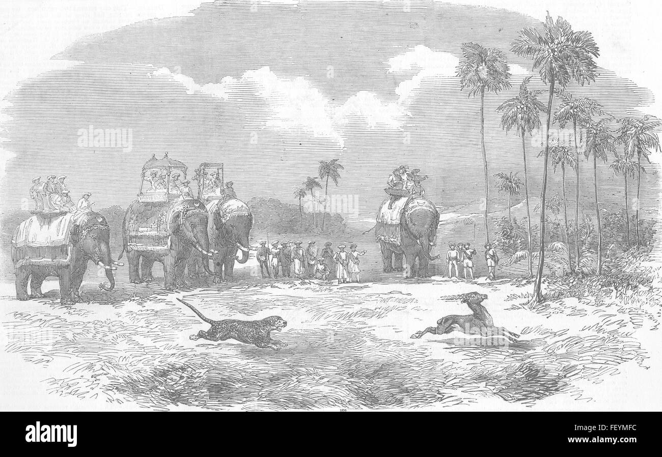 INDIA Antelope-Hunting with the Leopard 1857. Illustrated London News ...