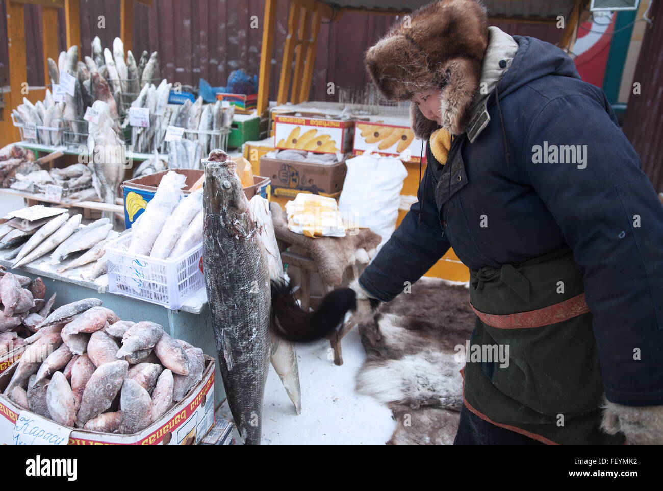 Market Russia Frozen Fish High Resolution Stock Photography and Images ...