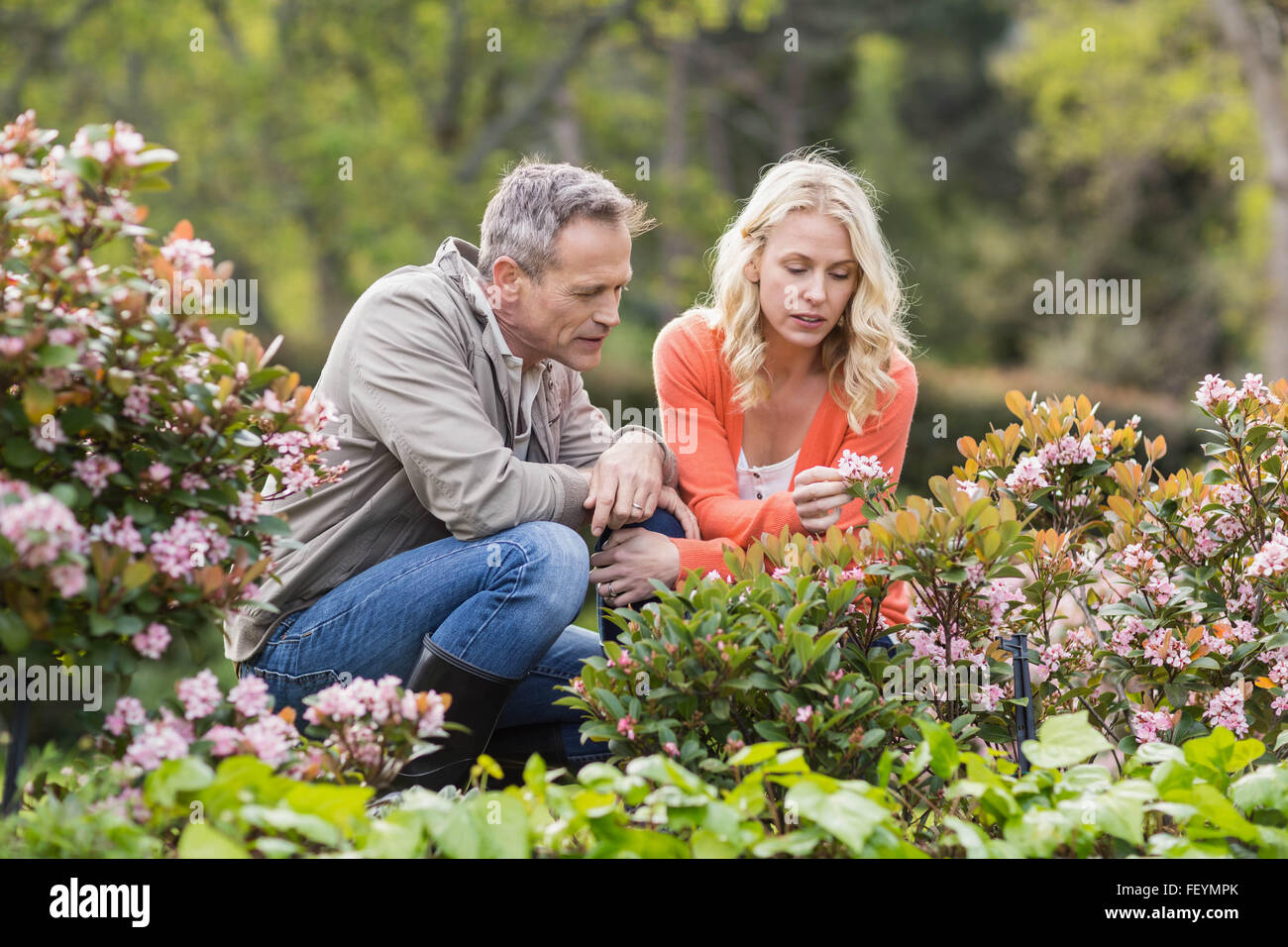 Cheerful looking flowers hi-res stock photography and images - Alamy