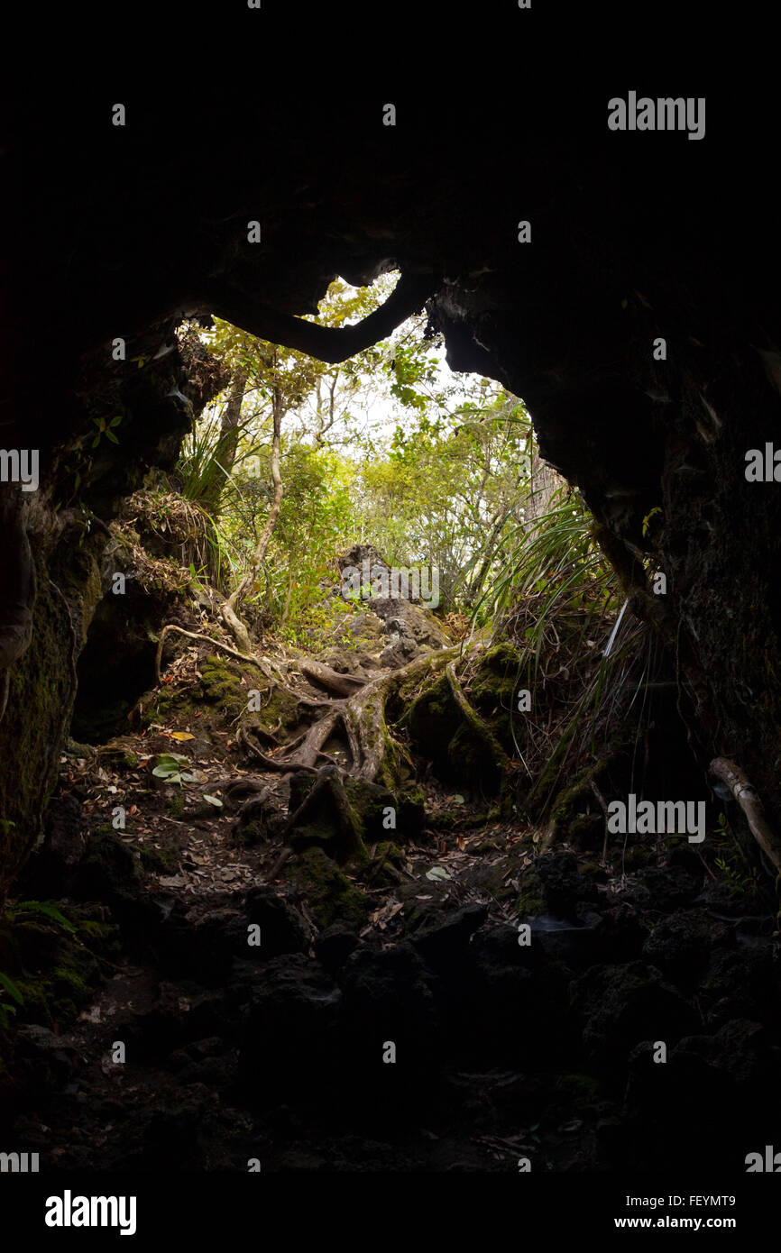 Out of the Dark - Dark cave exit leading to a forest Stock Photo - Alamy