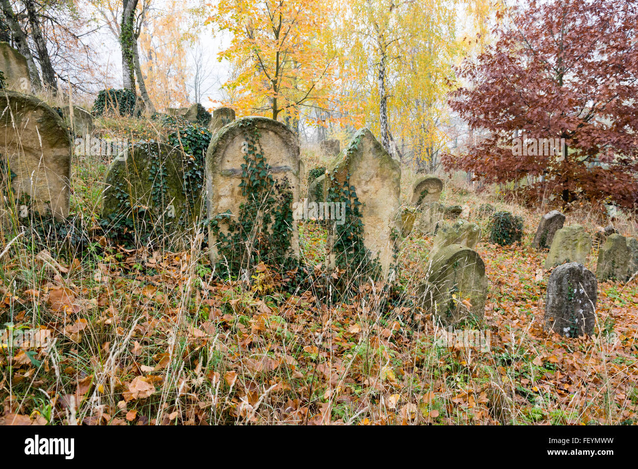 Old forgotten cemetery abandoned graves hi-res stock photography and ...