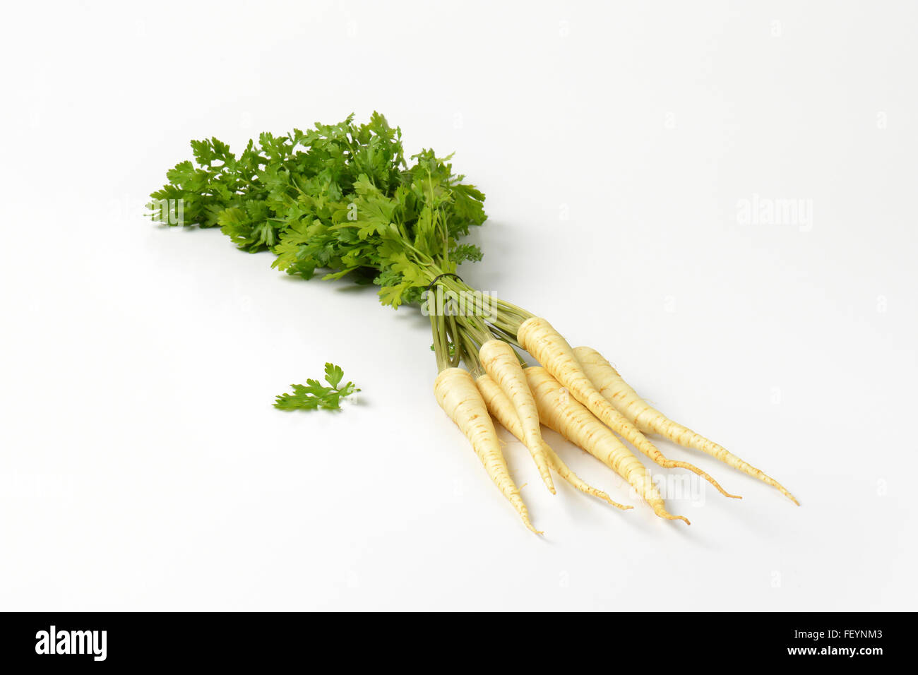 bunch of white parsley roots on white background Stock Photo - Alamy