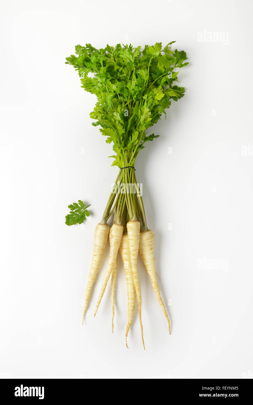 bunch of white parsley roots on white background Stock Photo - Alamy