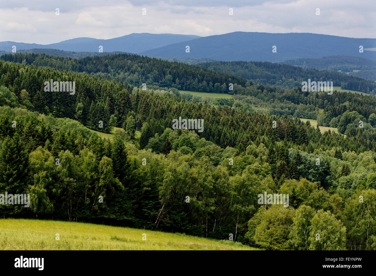 Bohemian forest hi-res stock photography and images - Alamy