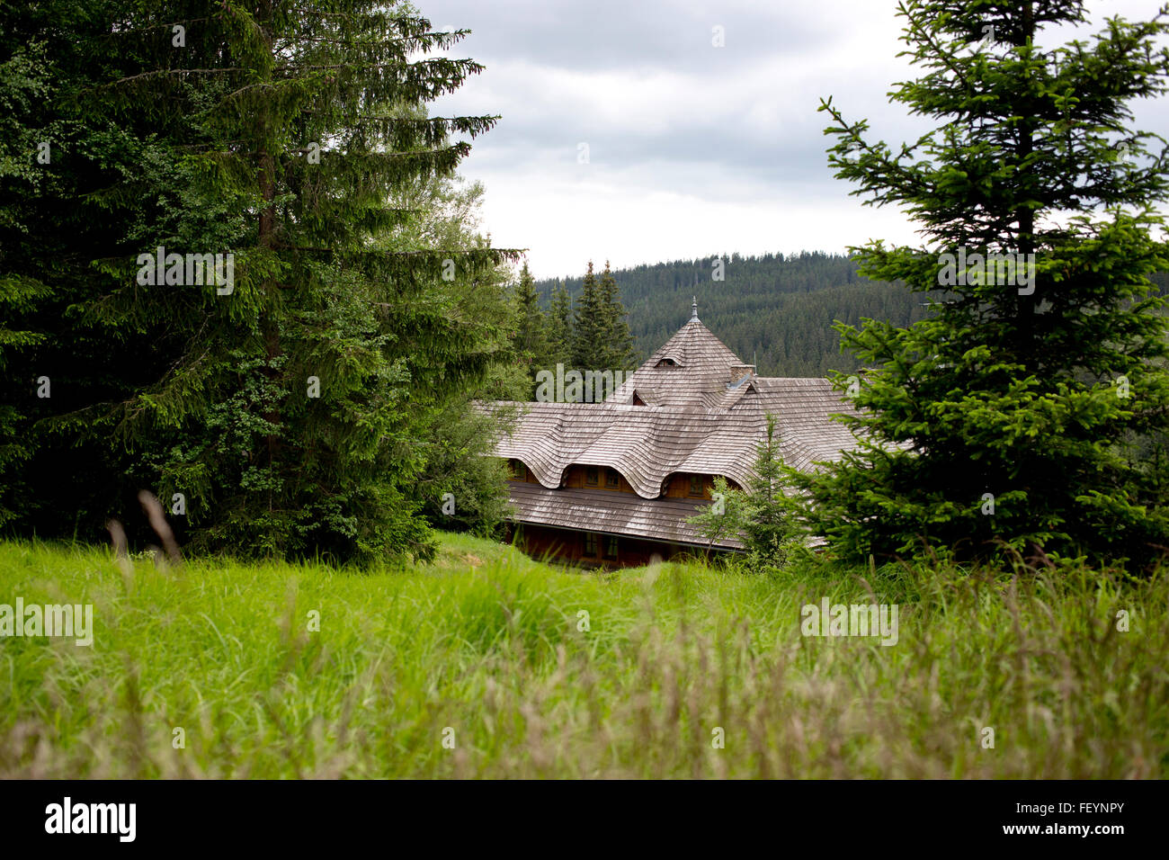 Bohemian forest hi-res stock photography and images - Alamy