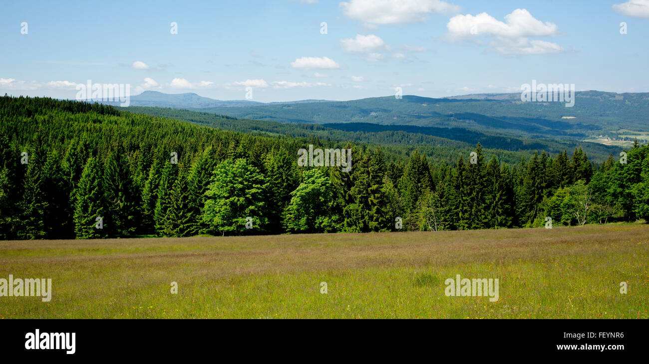 Bohemian forest hi-res stock photography and images - Alamy