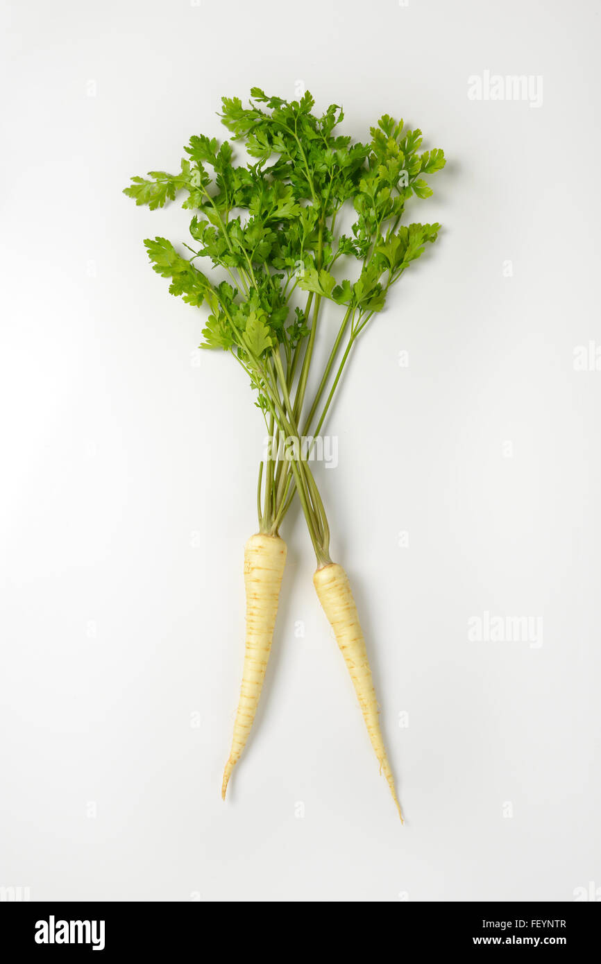 white parsley roots on white background Stock Photo - Alamy