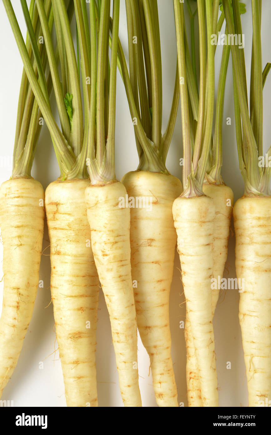 close up of white parsley roots on white background Stock Photo - Alamy